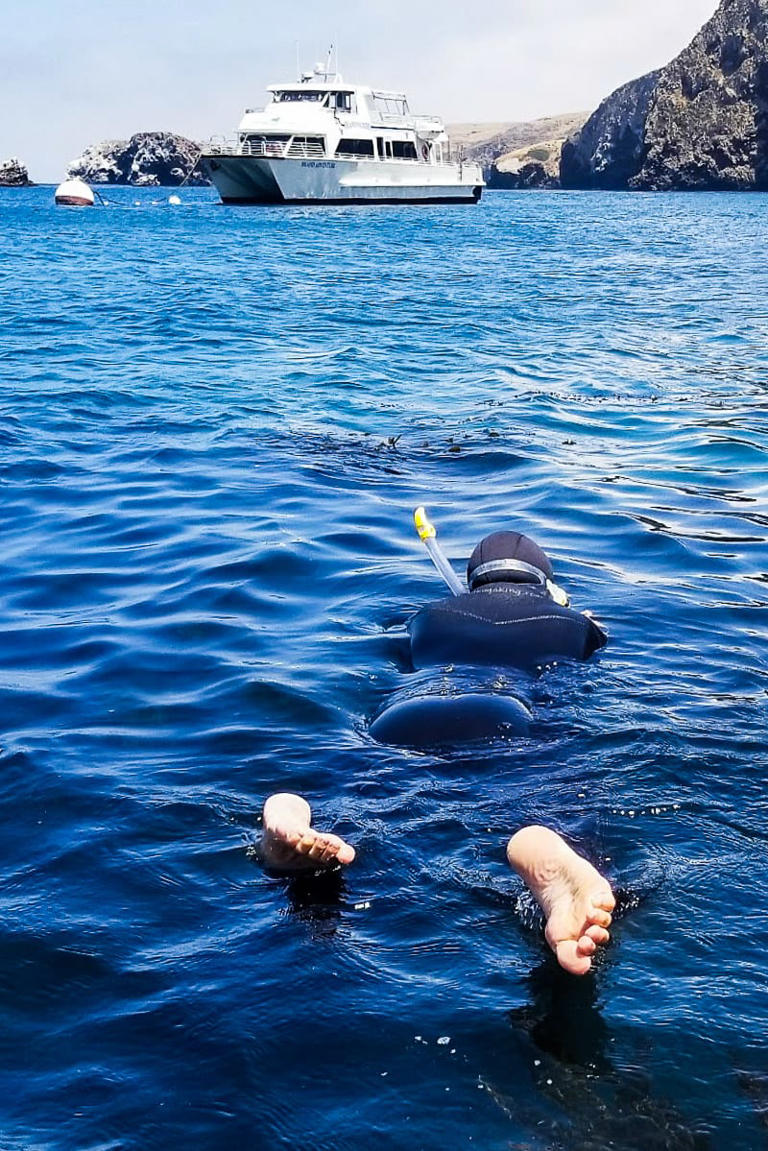 17 amazing things to do in Ventura, CA with kids