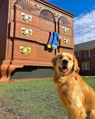 The Best Things To Do In High Point, North Carolina