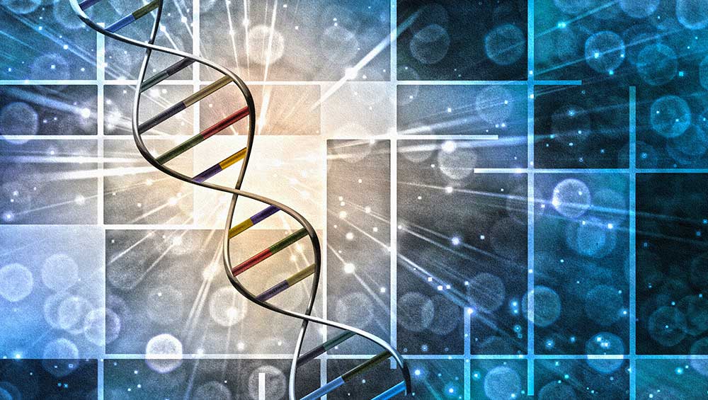 BridgeBio Breaks Out After Pfizer-Rivaling Heart Drug Obliterates Sales ...