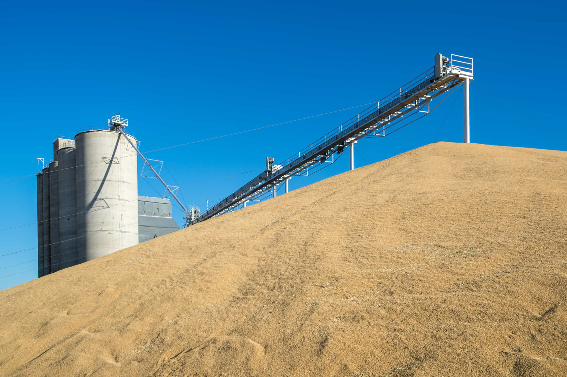 Les plus grandes catastrophes alimentaires de l'Histoire