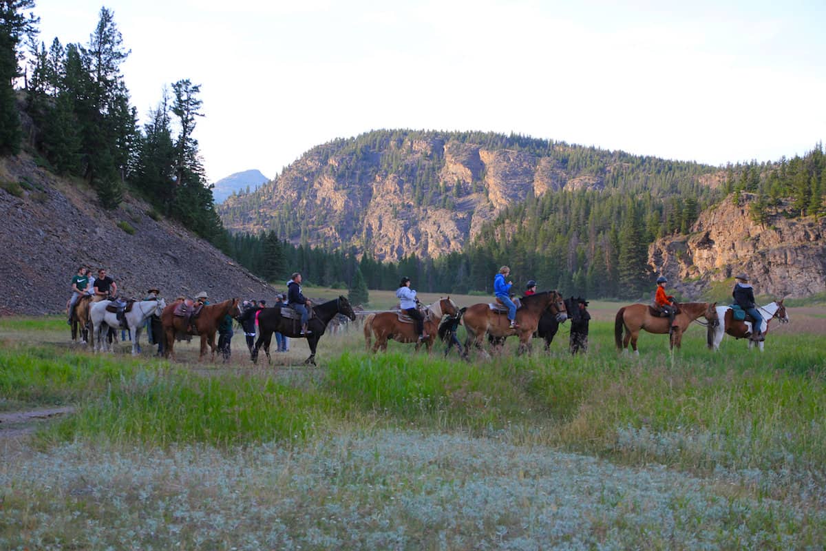 From Wildlife Watching to the Old West Cookout: 11 Top Things to Do at ...