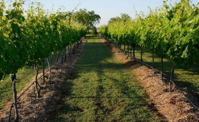 The Best Things To Do In Granbury, Texas