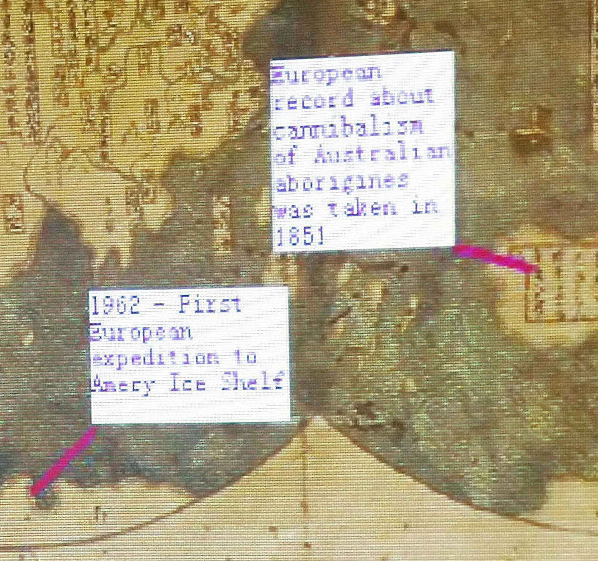 Did the Chinese discover America?