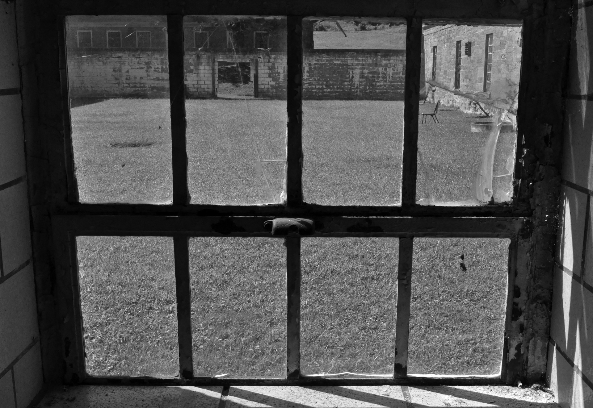 How humans almost vanished from Earth in 70,000 BCE