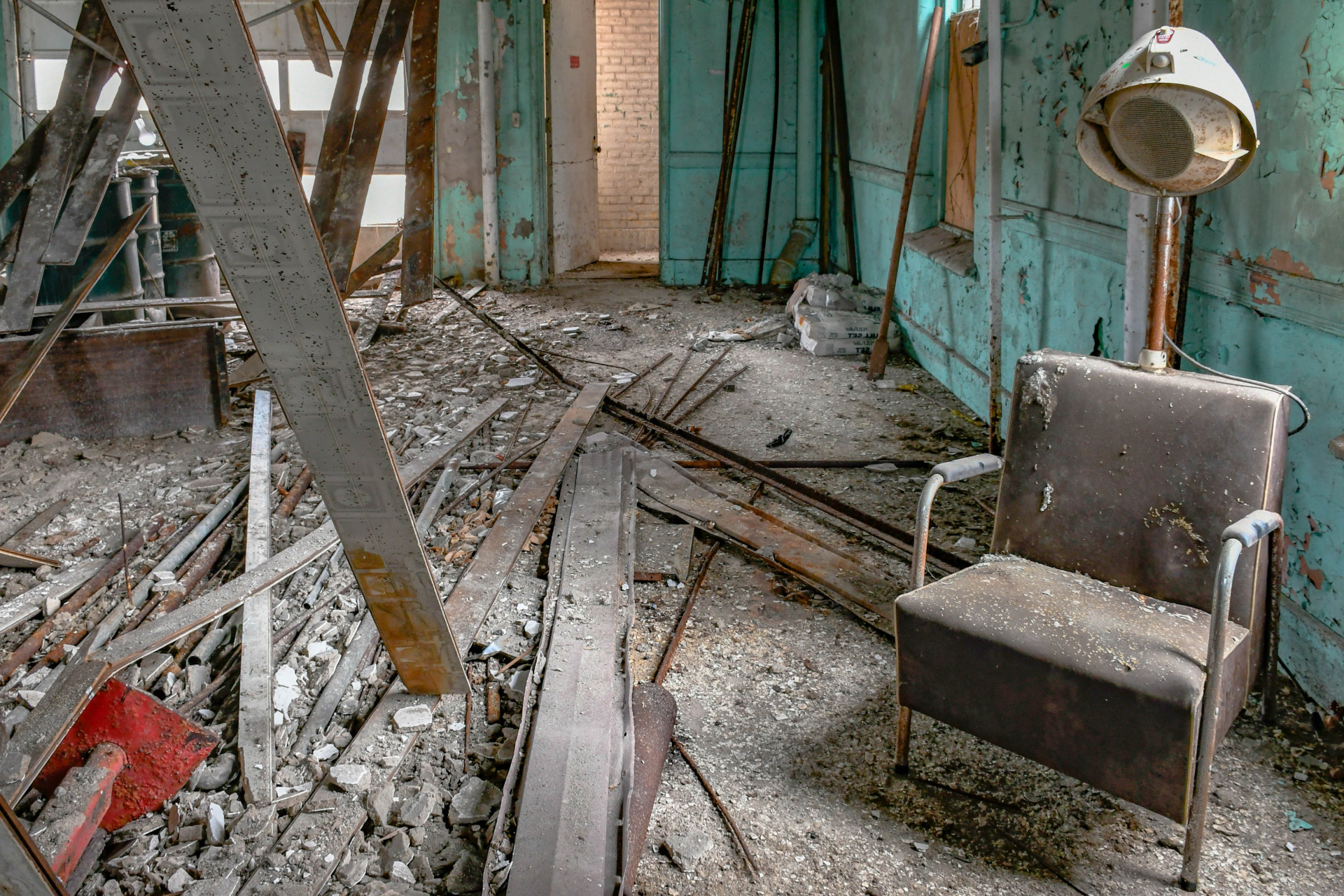 Les animaux aussi peuvent souffrir d'albinisme, et ils sont magnifiques