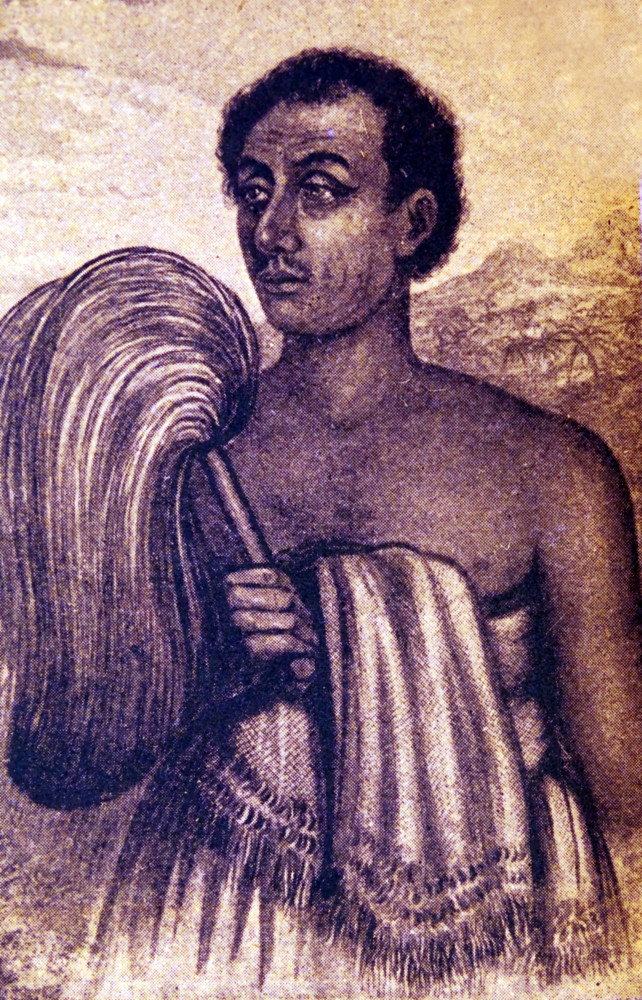 Did Polynesians discover the Americas before Columbus?