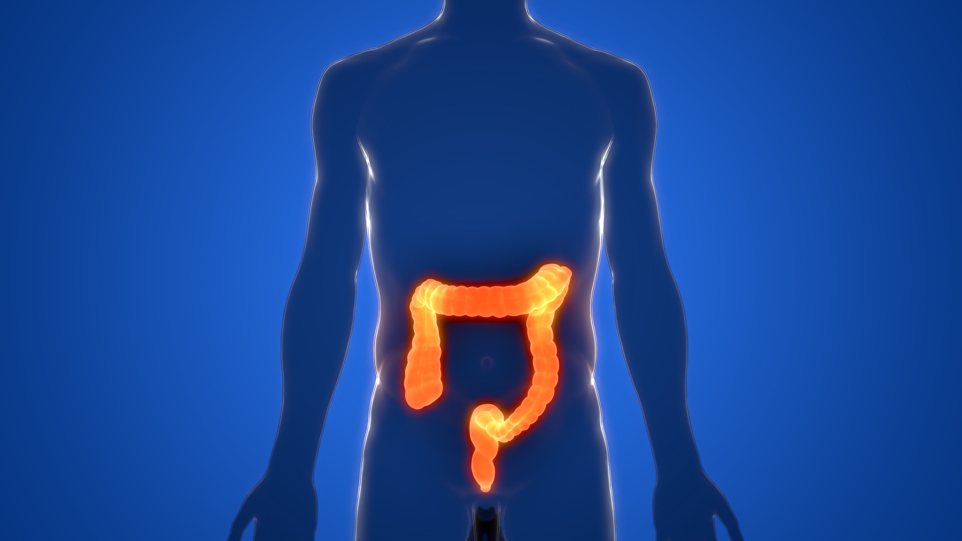 Body parts we can live without