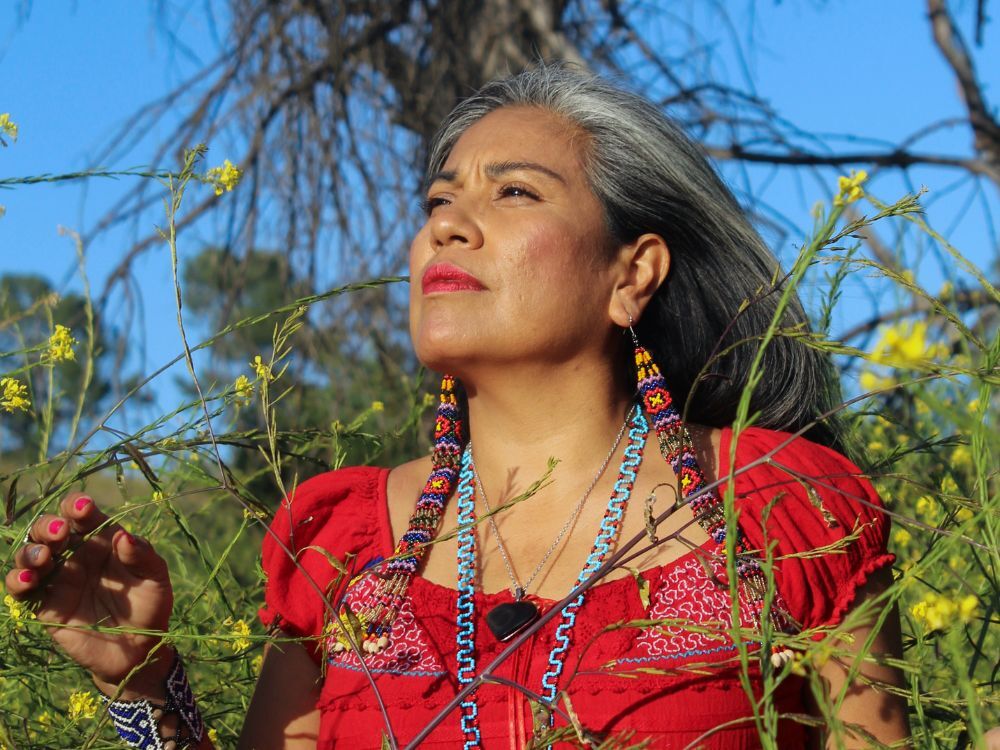 Ascendente Toro: Una vita organizzata e precisa