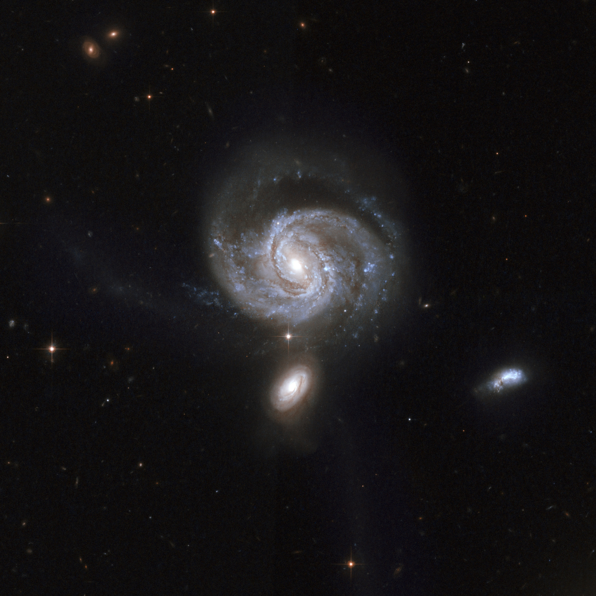 À la découverte des 10 plus vastes galaxies de l'Univers
