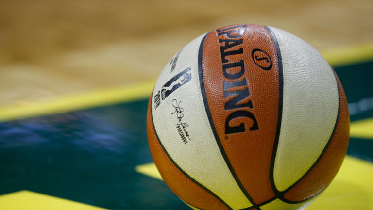 WNBA games today: WNBA playoff schedule 2024, TV info, how to watch the ...