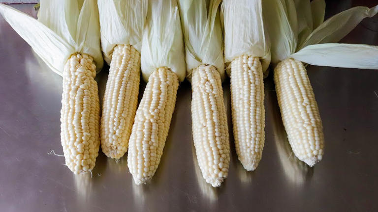 There's Nothing Better Than Fresh Corn In The Summertime - Herbalicious ...