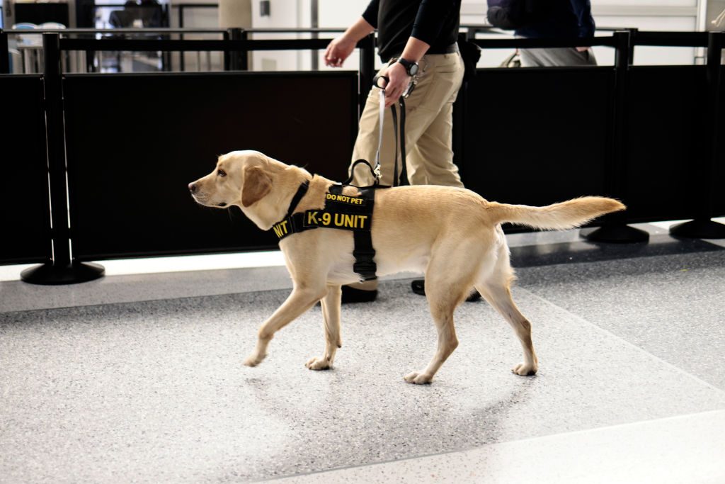 13 Things That Totally Annoy TSA Agents—and What to Do Instead