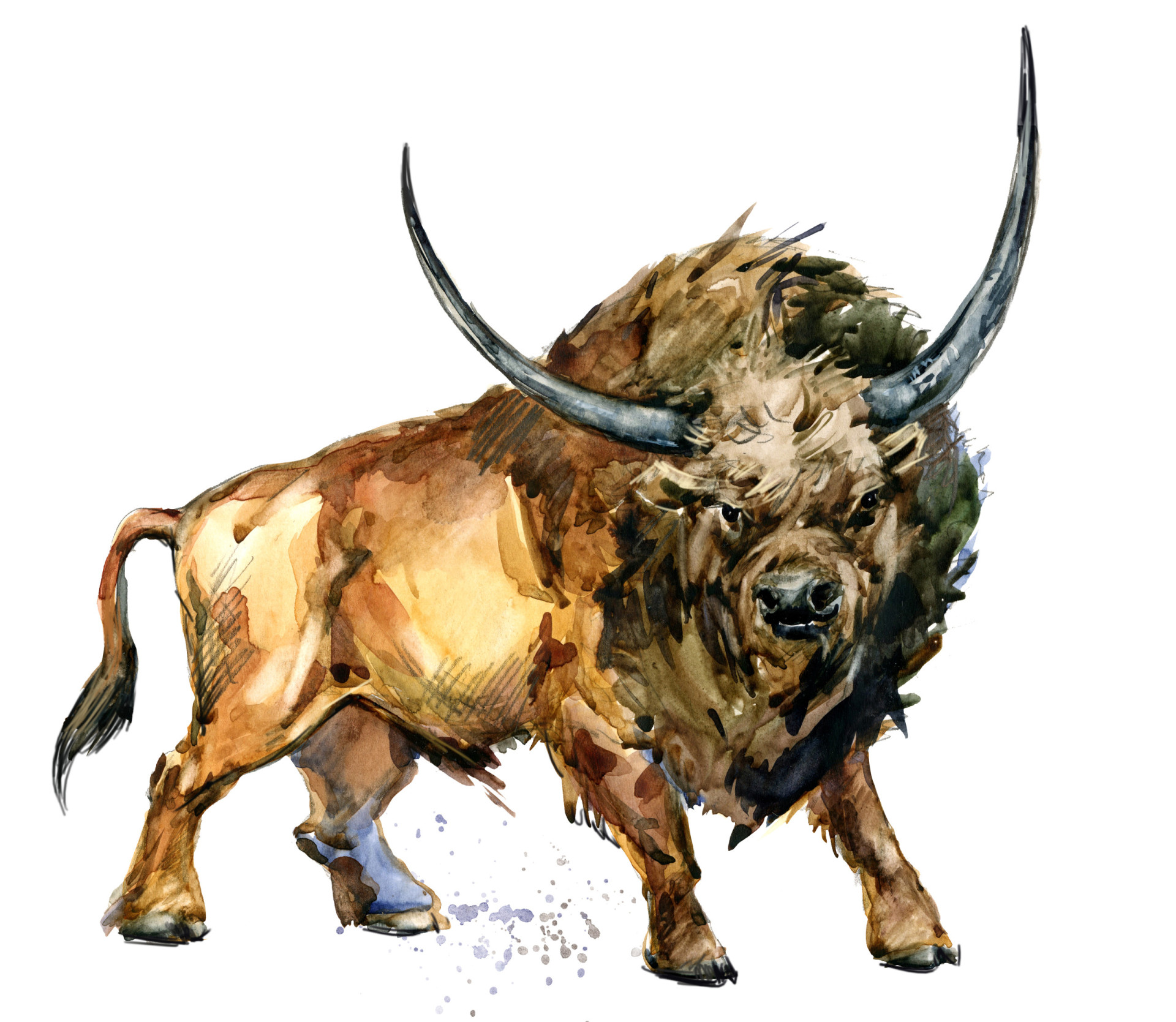 Brilliant facts about the American bison