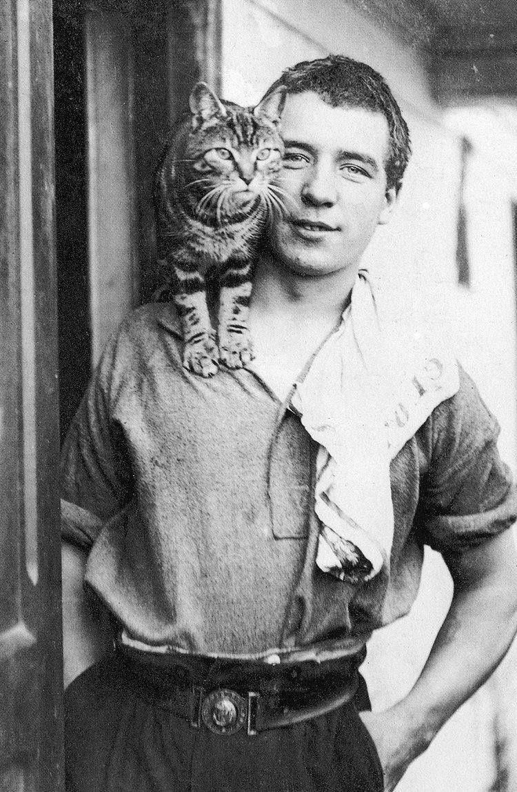 Die berühmtesten Katzen der Geschichte