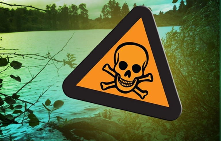 KDHE warns of blue-green algae at these Kansas lakes