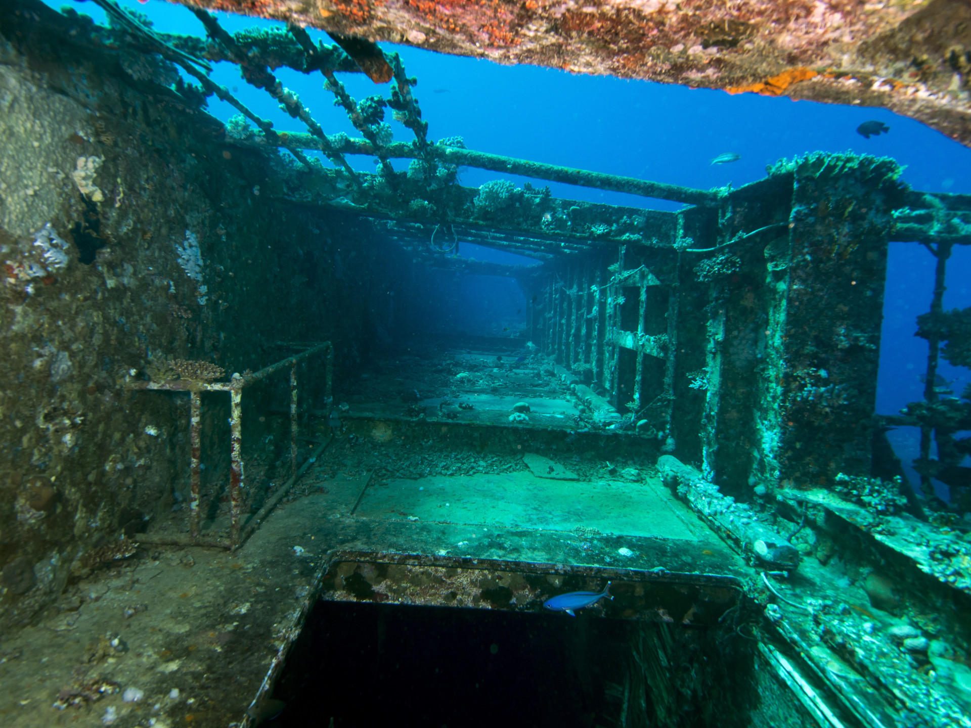 The lost city of Atlantis: fact or fiction?