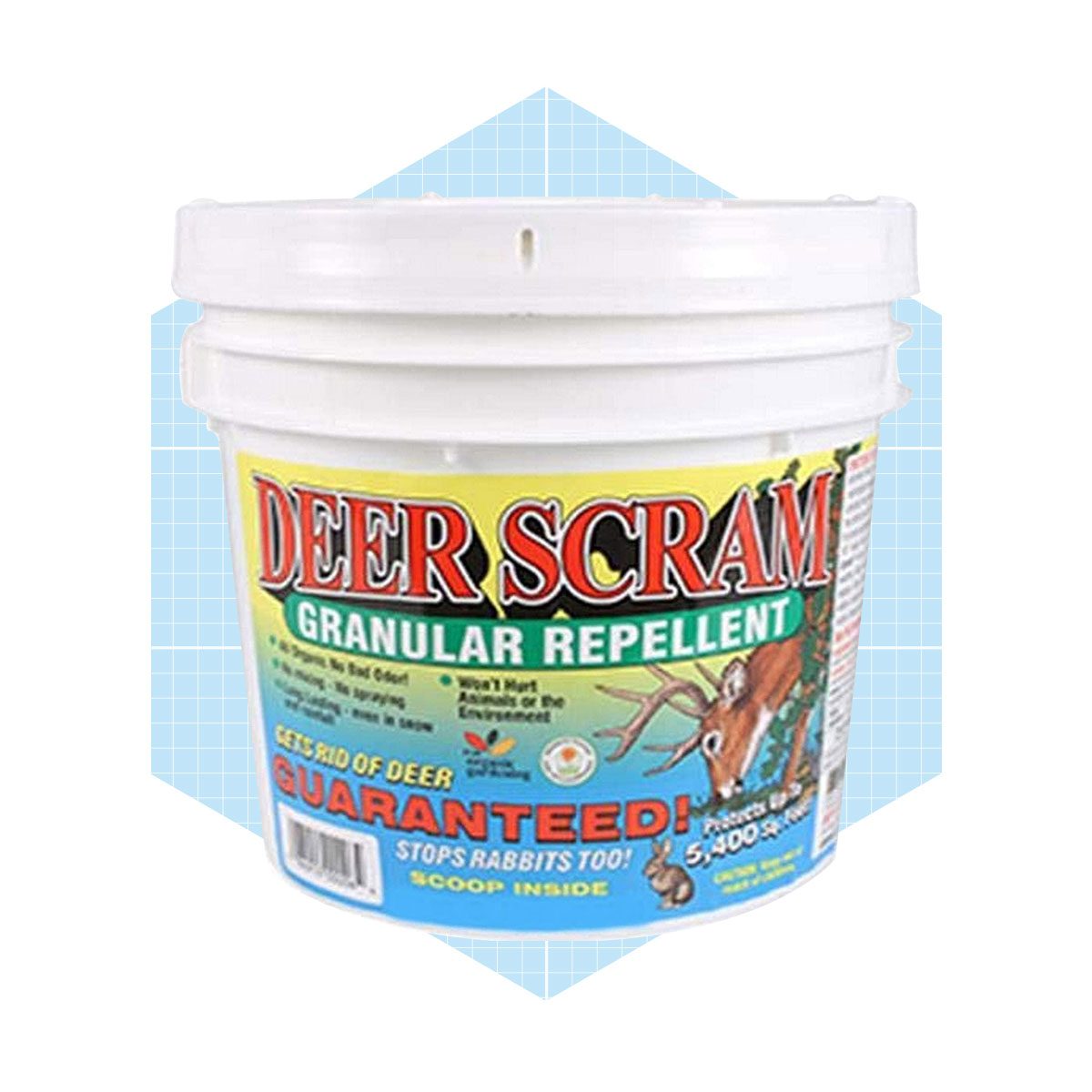 7 Pet-Safe Pest Control Products: Insecticides That Are Safe For Your ...