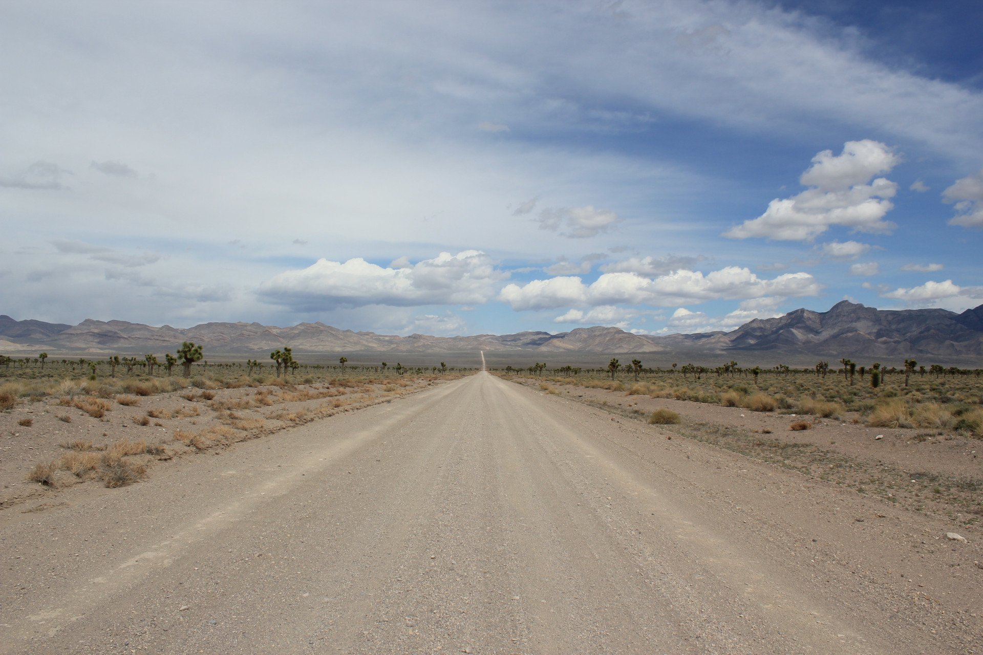 Area 51: Vad vet vi om den mystiska amerikanska militärbasen?