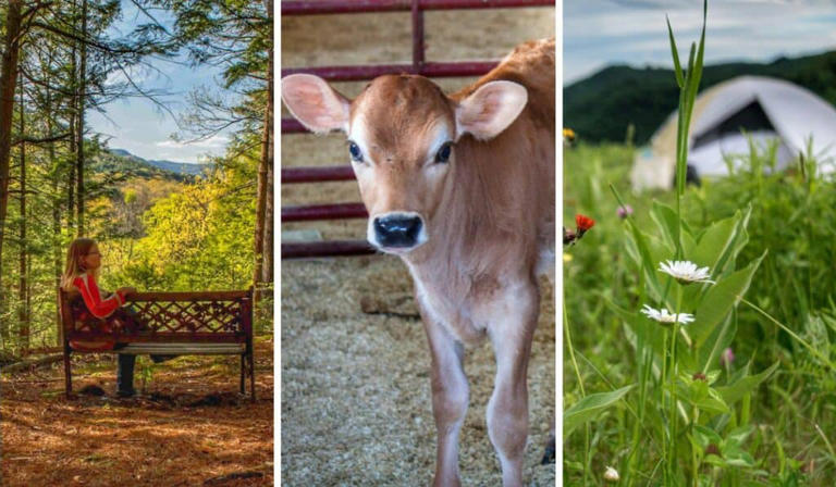 Why Farm Camping in Vermont Should be Your Next Adventure