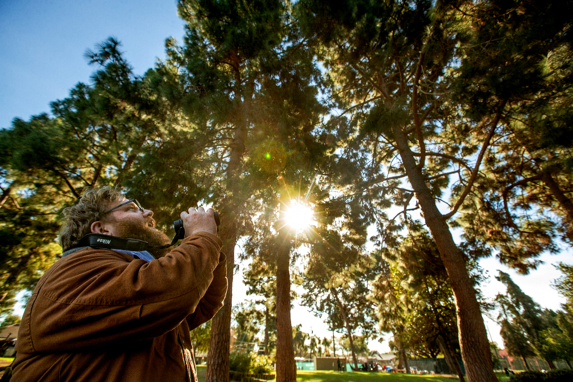 Hittegolf: bescherm jezelf tegen hitte-uitputting of een zonnesteek