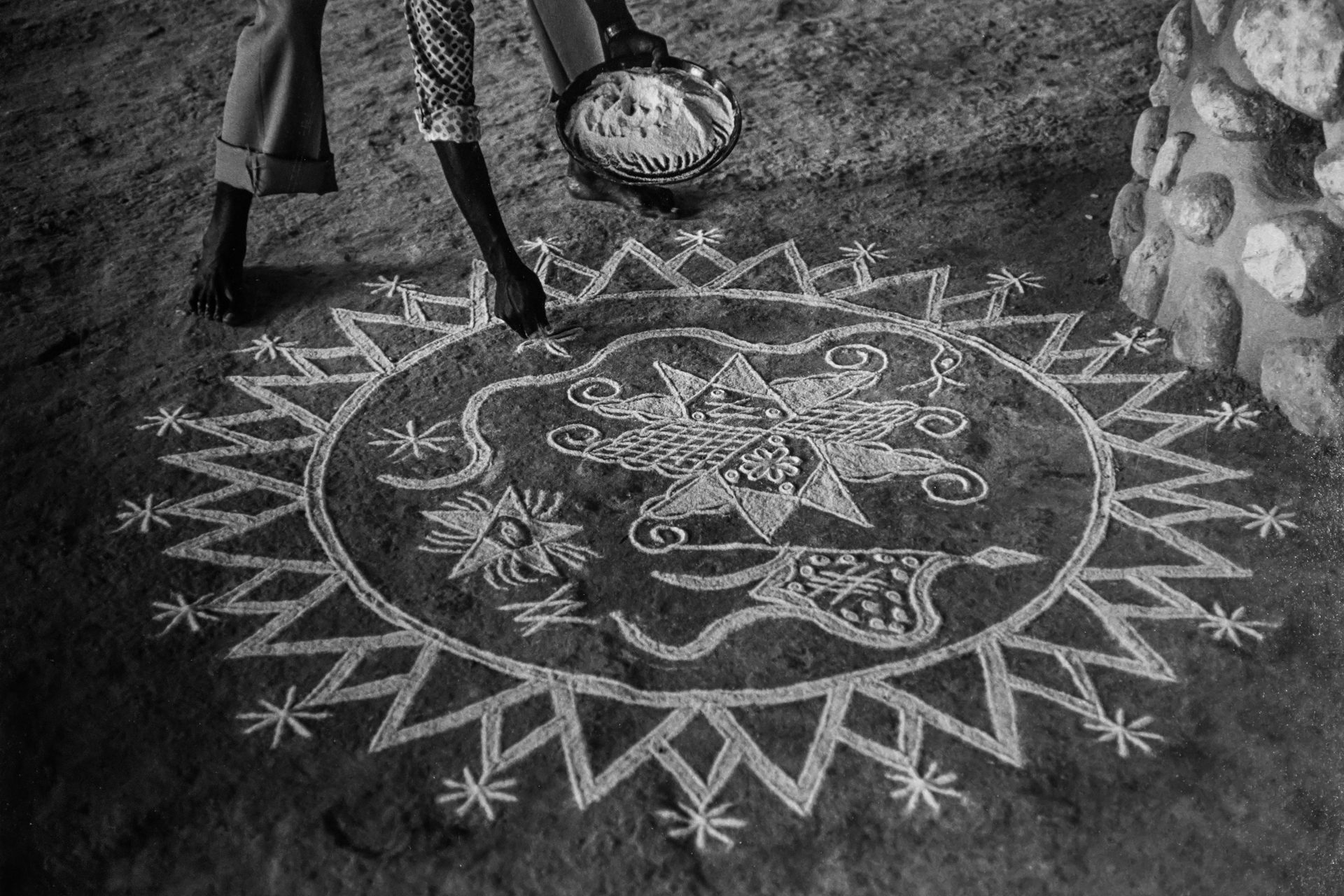 ¿Podría ocurrir realmente un apocalipsis zombi?