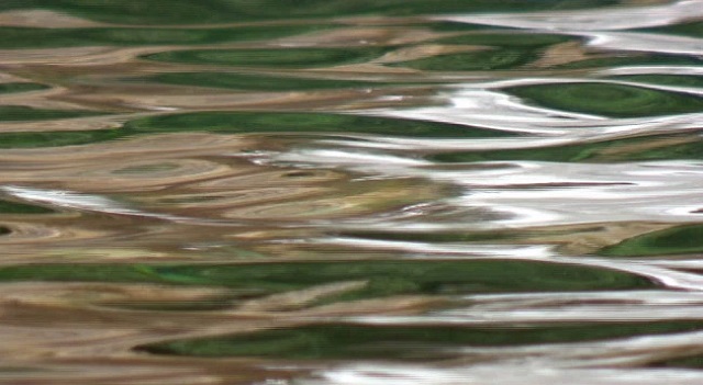 Body floating in Willamette River identified as Utah resident