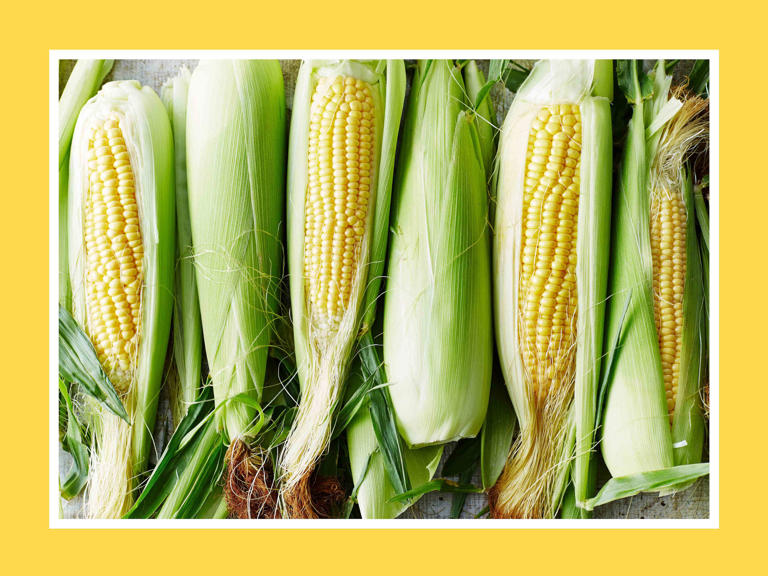 My Dad’s a Corn Farmer, Here’s His Secret to the Best Corn You’ve Ever ...
