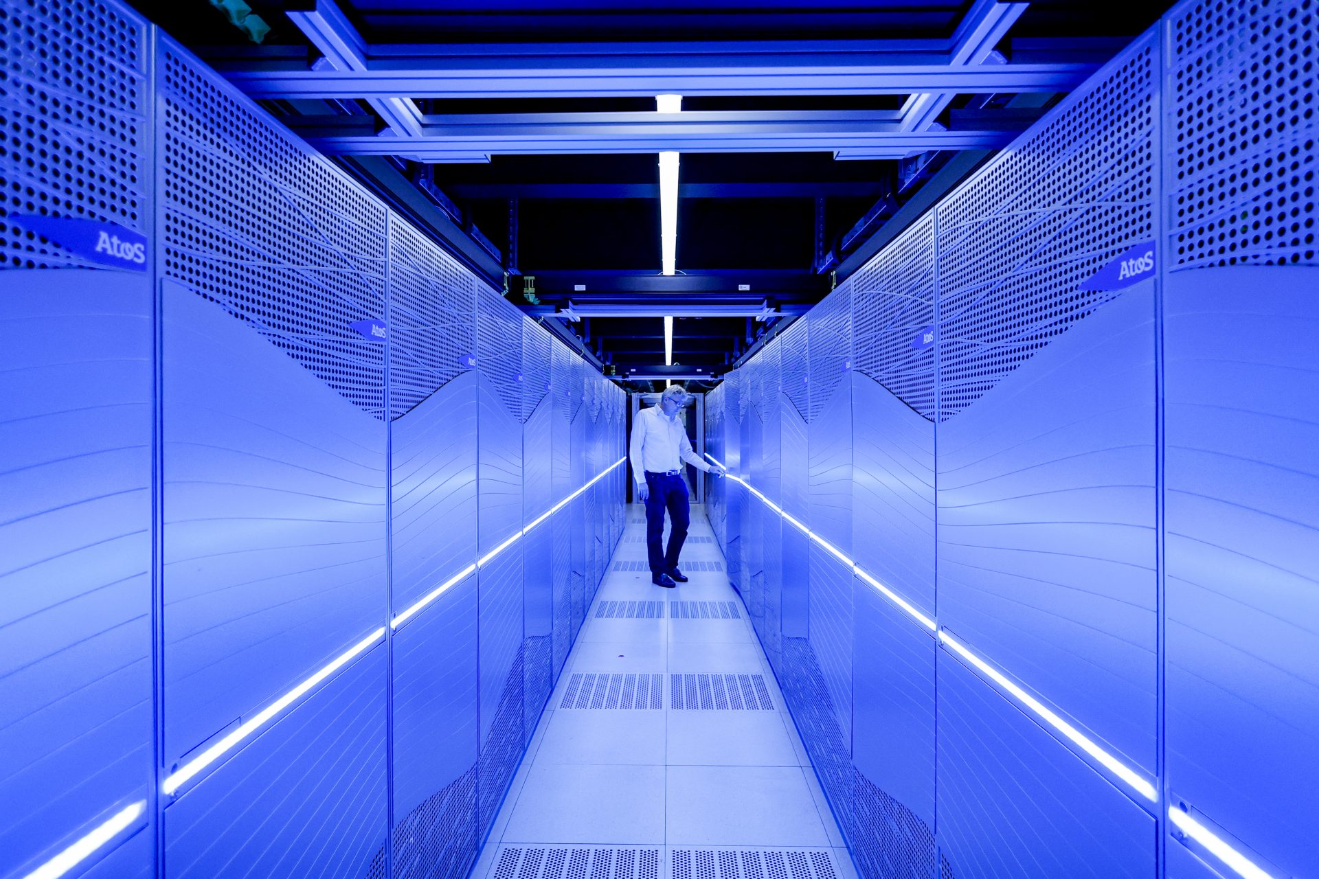25% of Earth’s species at risk, supercomputer study reveals