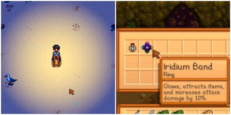 Best Rings In Stardew Valley