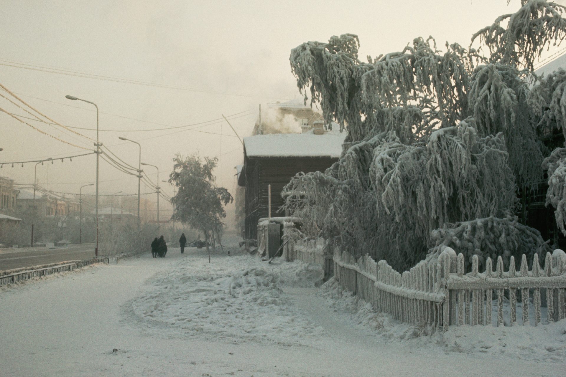 Ancient virus from the Ice Age revived by scientists
