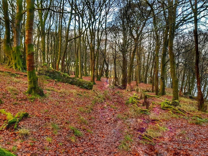 Isle of Bute Tourist Guide: 12 of the best things to do and see in Rothesay