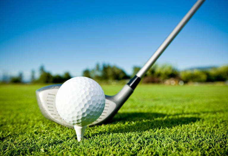 Section V boys golf results for fall 2025 season