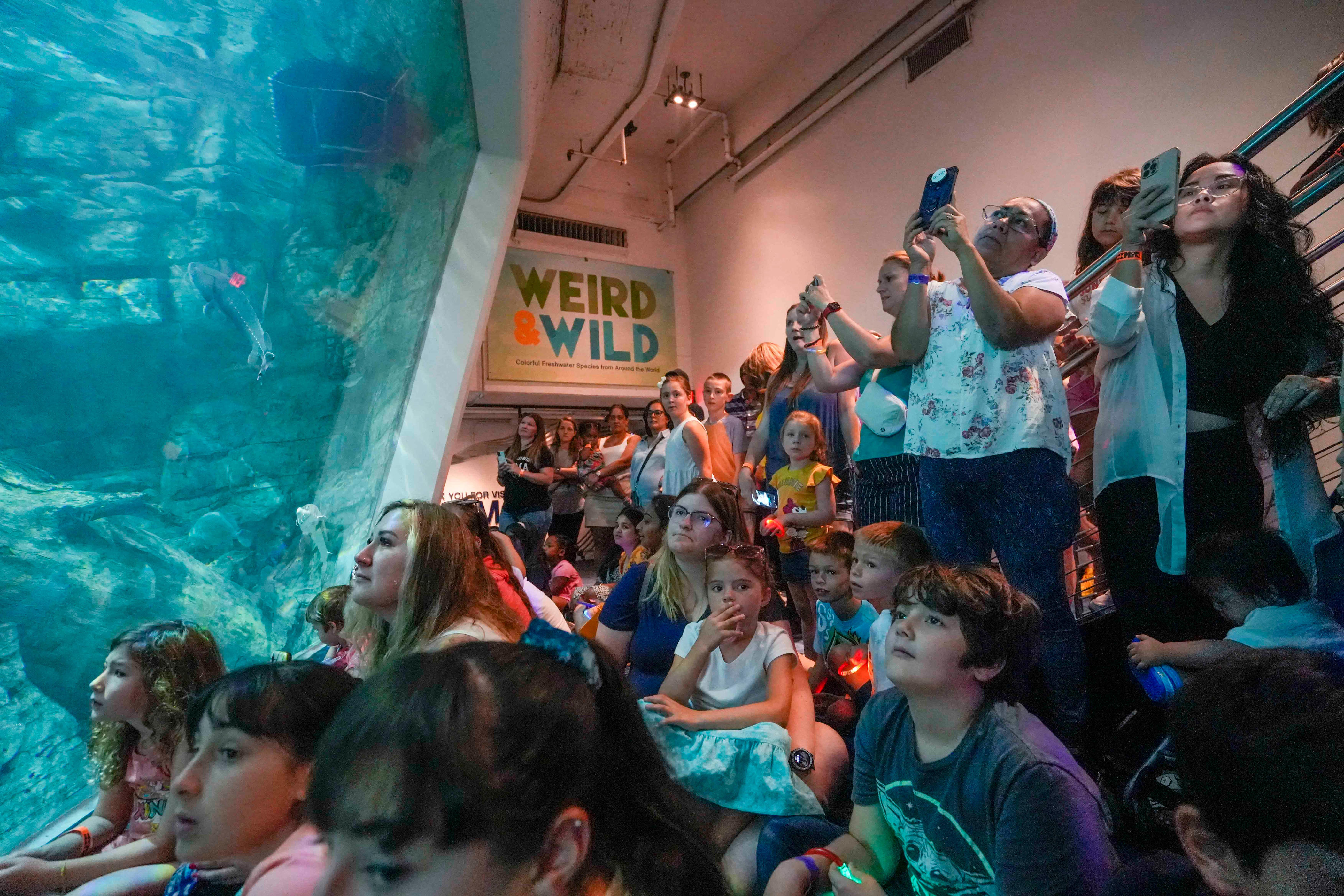 Free admission days and events at Milwaukee museums and the zoo in March