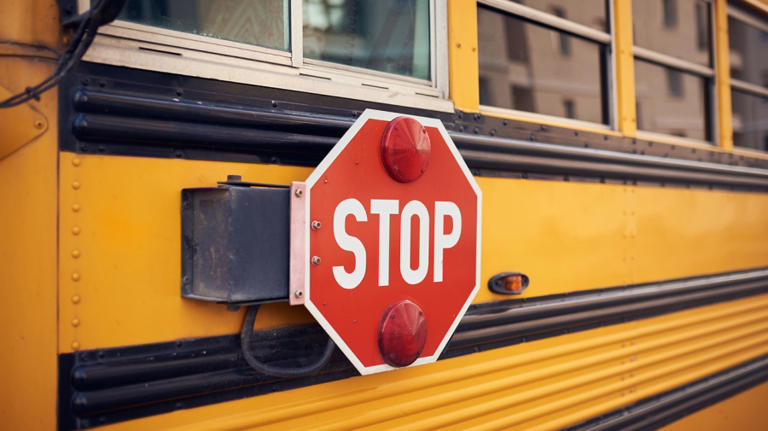Springfield looks to add cameras on school bus stop signs