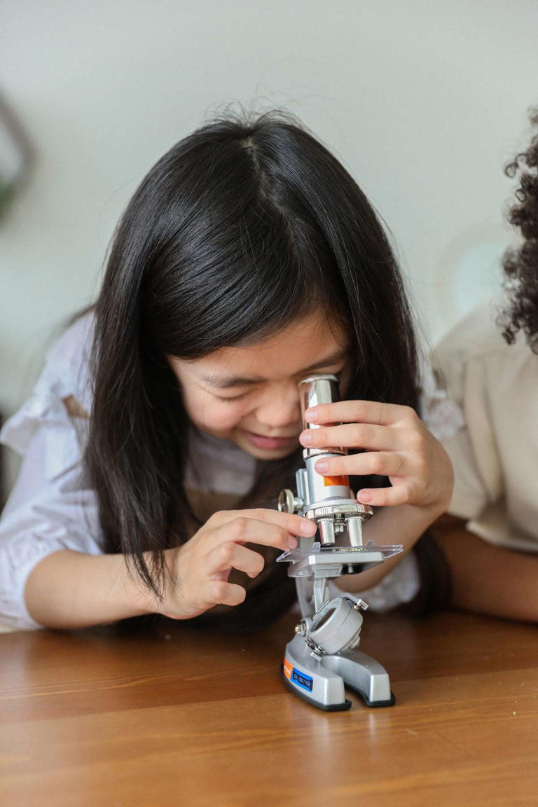 Summer STEM projects for kids