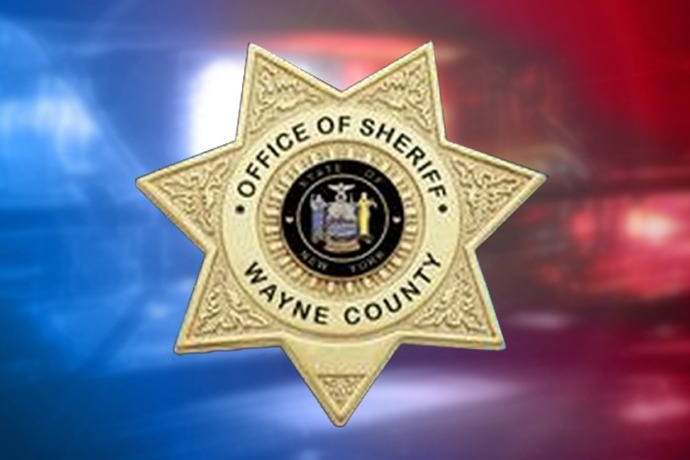 Man arrested after 3 larcenies, police chase in Wayne County