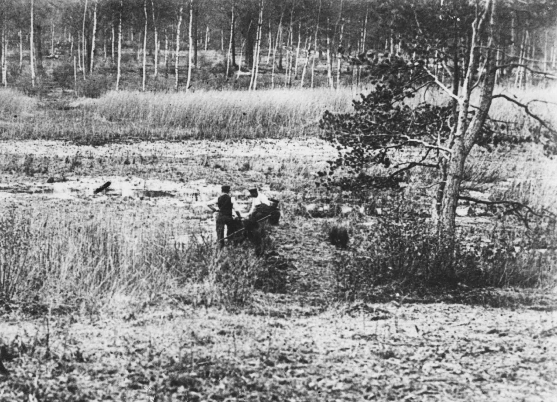 Who was Bluebeard, and why did he murder so many women?