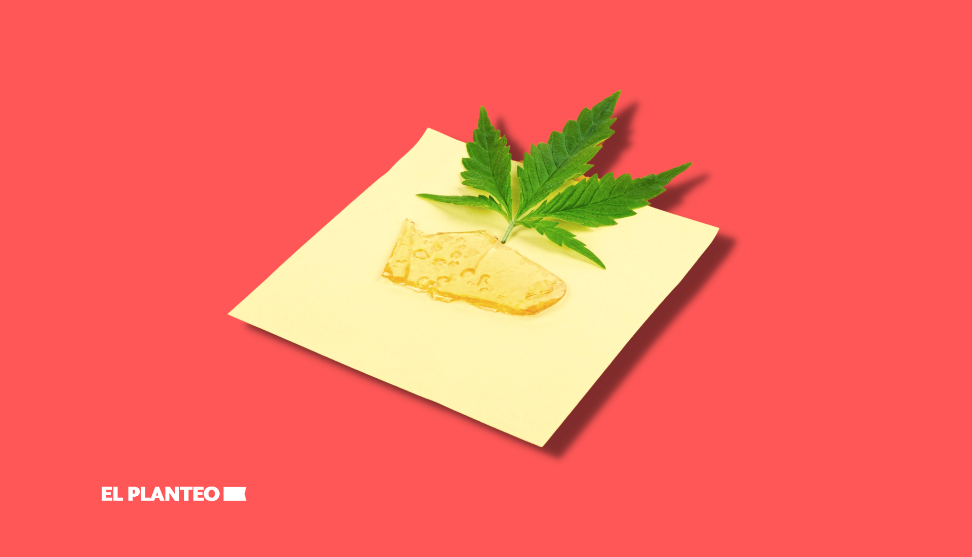 Rosin: Qué Es, Cómo Hacerlo y Cómo Fumarlo