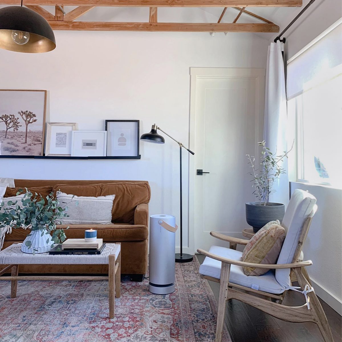 8 Shed House Ideas