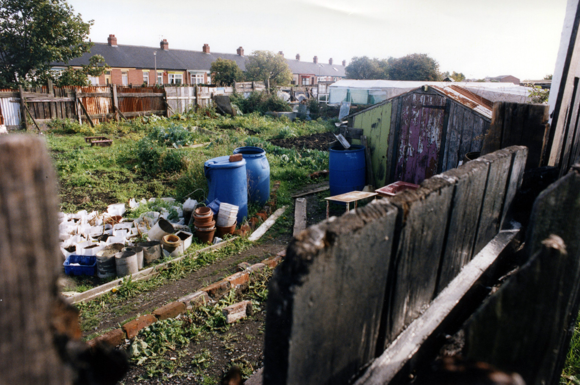 Mord durch Strangulation: Die berüchtigsten Serienmörder der Geschichte