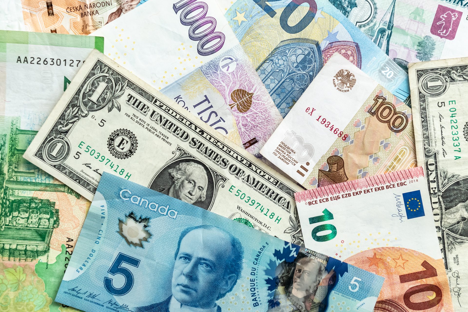 How did the U.S. Dollar perform compared to other major currencies in 2024?