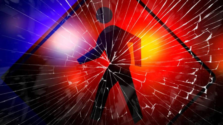 Pedestrian dies after hit by multiple vehicles on I-85 Pedestrian dies after hit by multiple vehicles on I-85