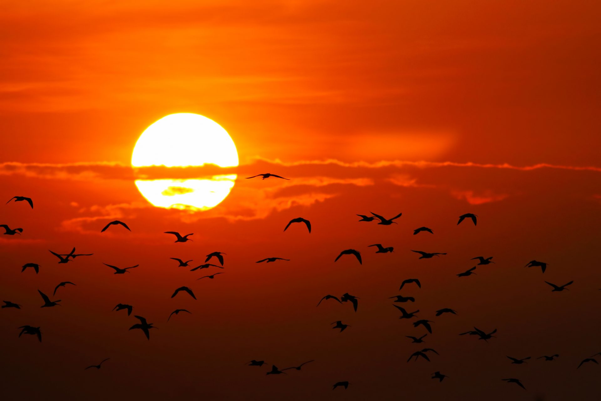 If we don't stop climate change, this is what Earth will look like in 2050