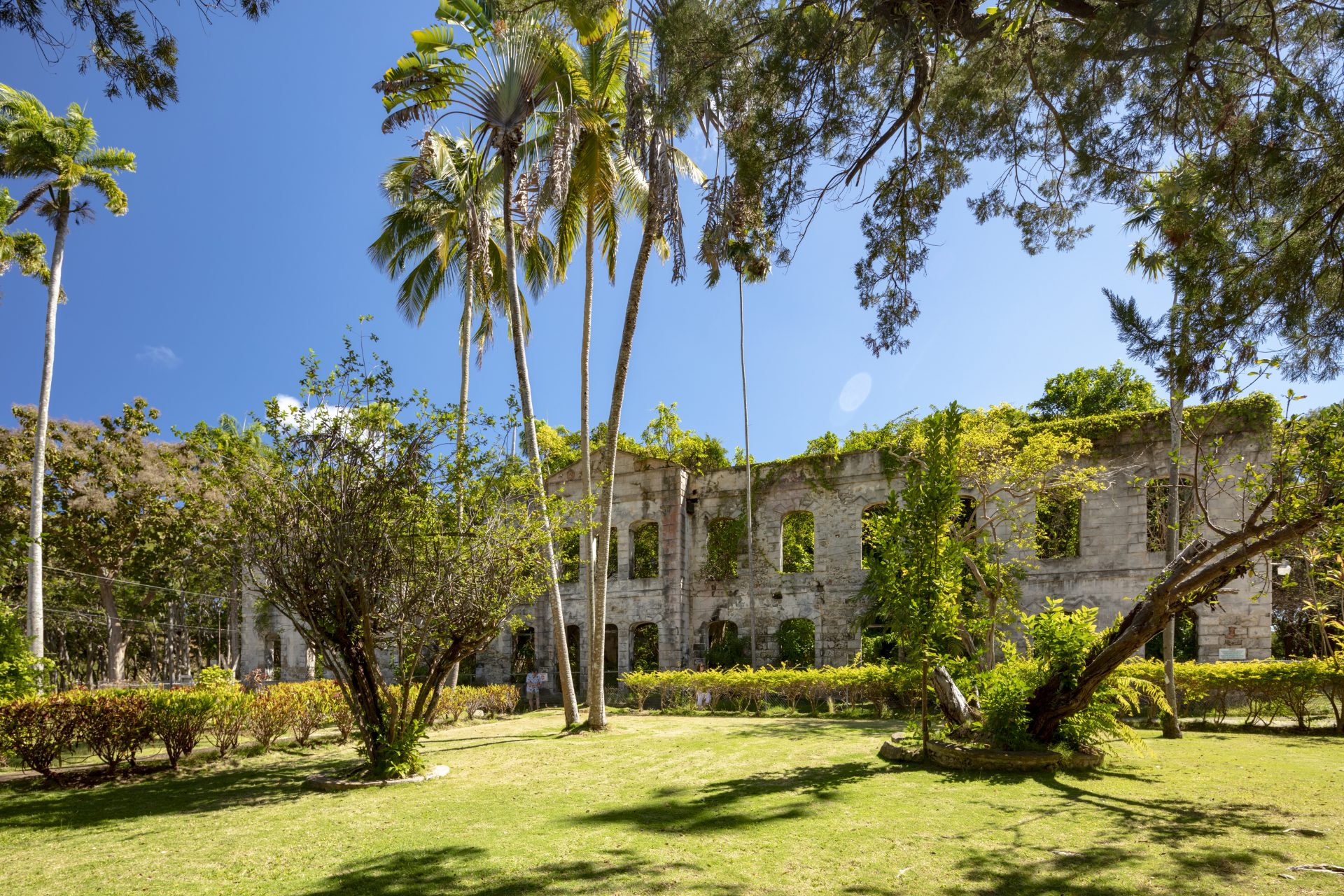 Should Benedict Cumberbatch pay reparations for his family's slave ...