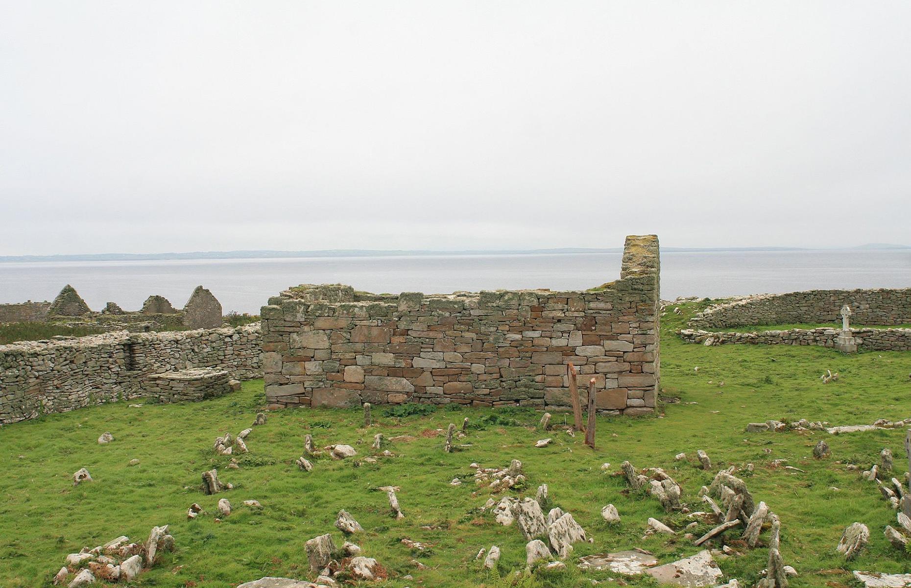 8 fish that rule the ocean with the fastest speed