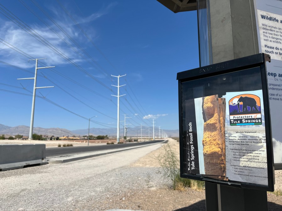 Federal lawsuit seeks halt to NV Energy’s Greenlink transmission lines ...