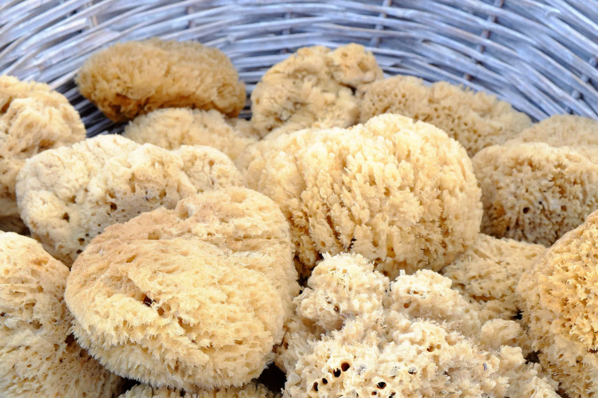 Things you think are eco-friendly—but really aren't