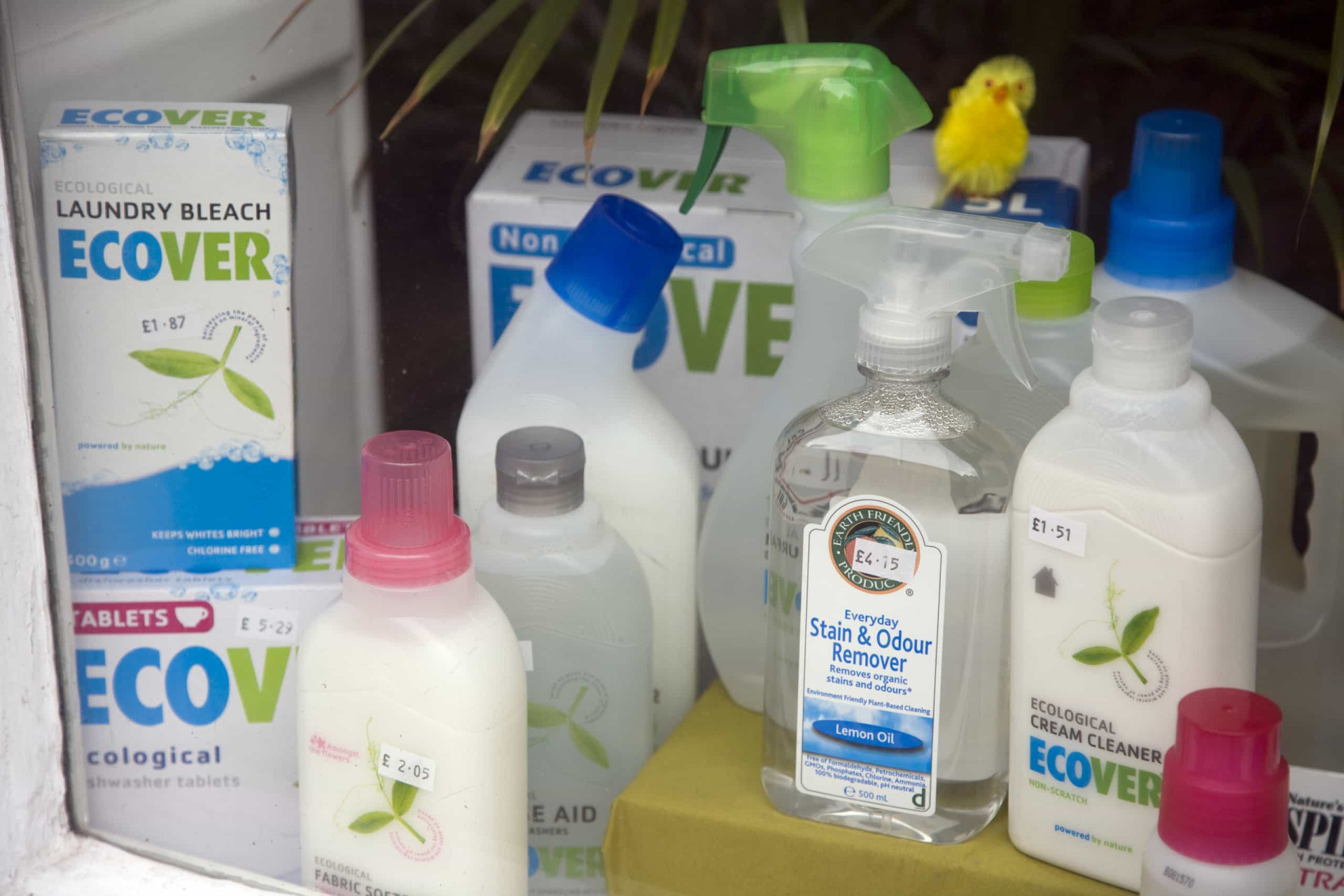 Common misconceptions about eco-friendly products