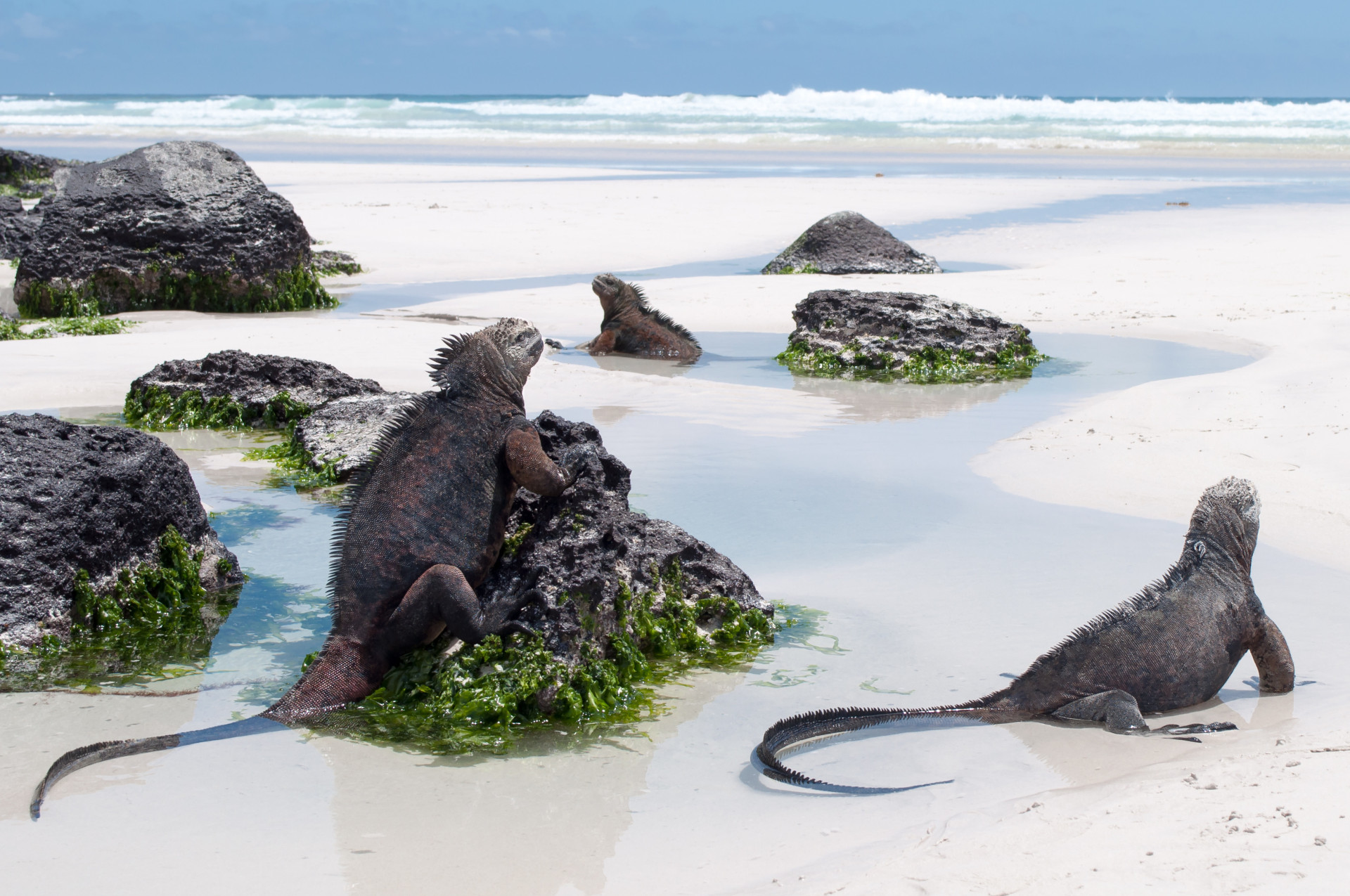 The most untouched places on Earth