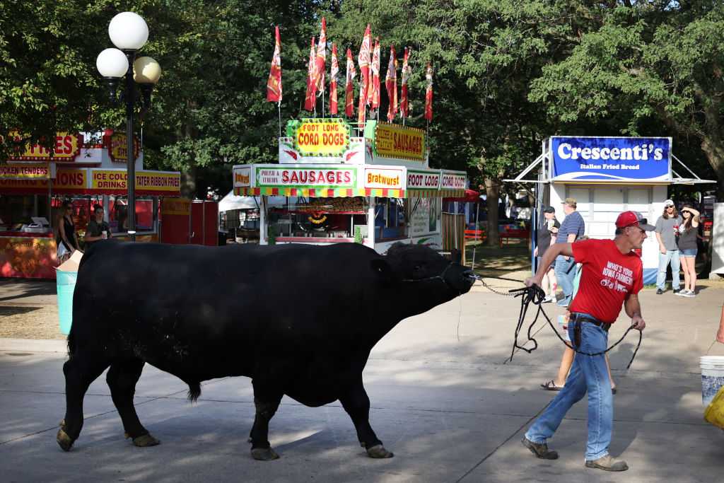 Iowa State Fair: Admission, hours, parking and more for 2025